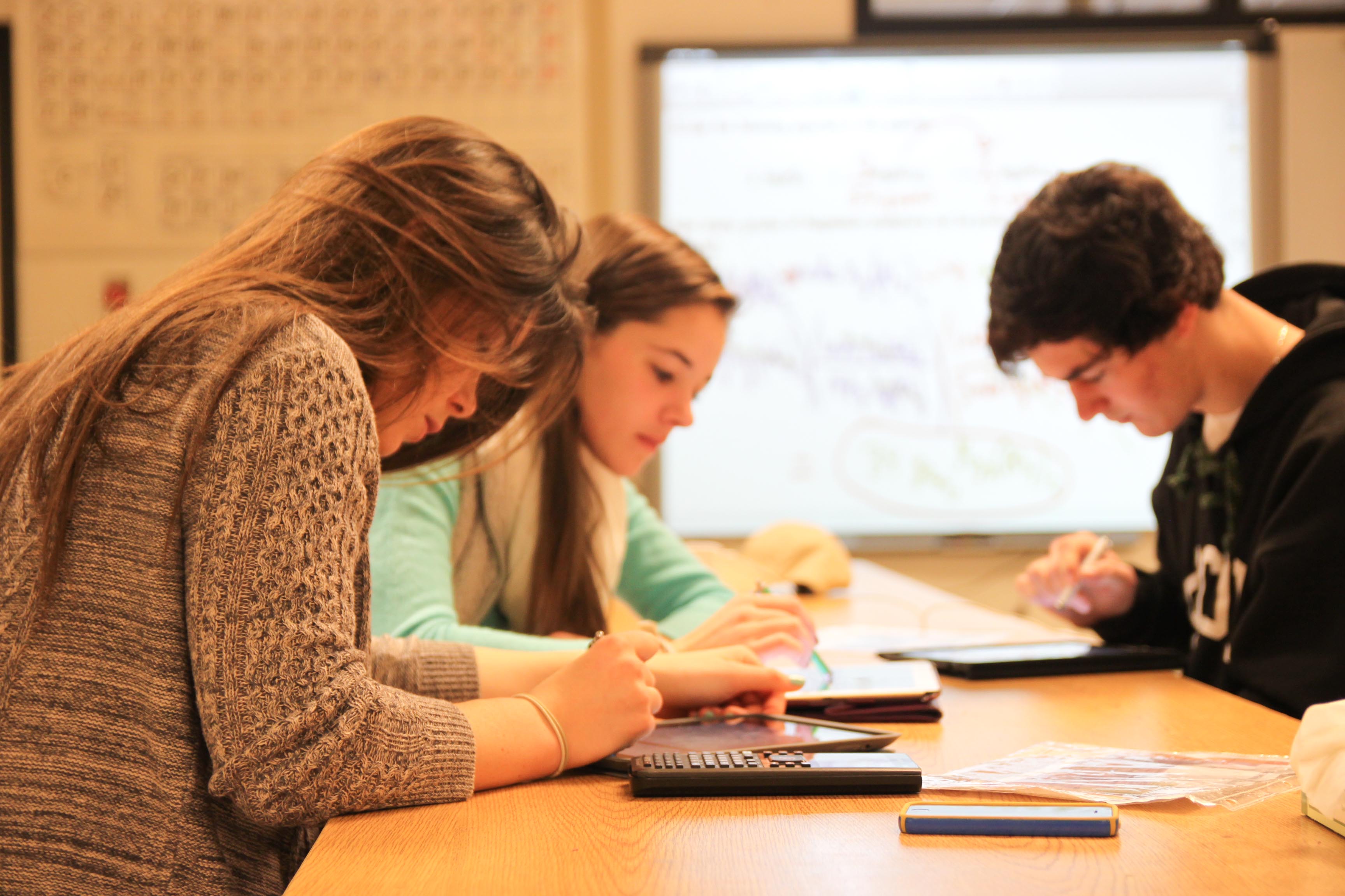 Academic Lens: Defining Proctor's Model