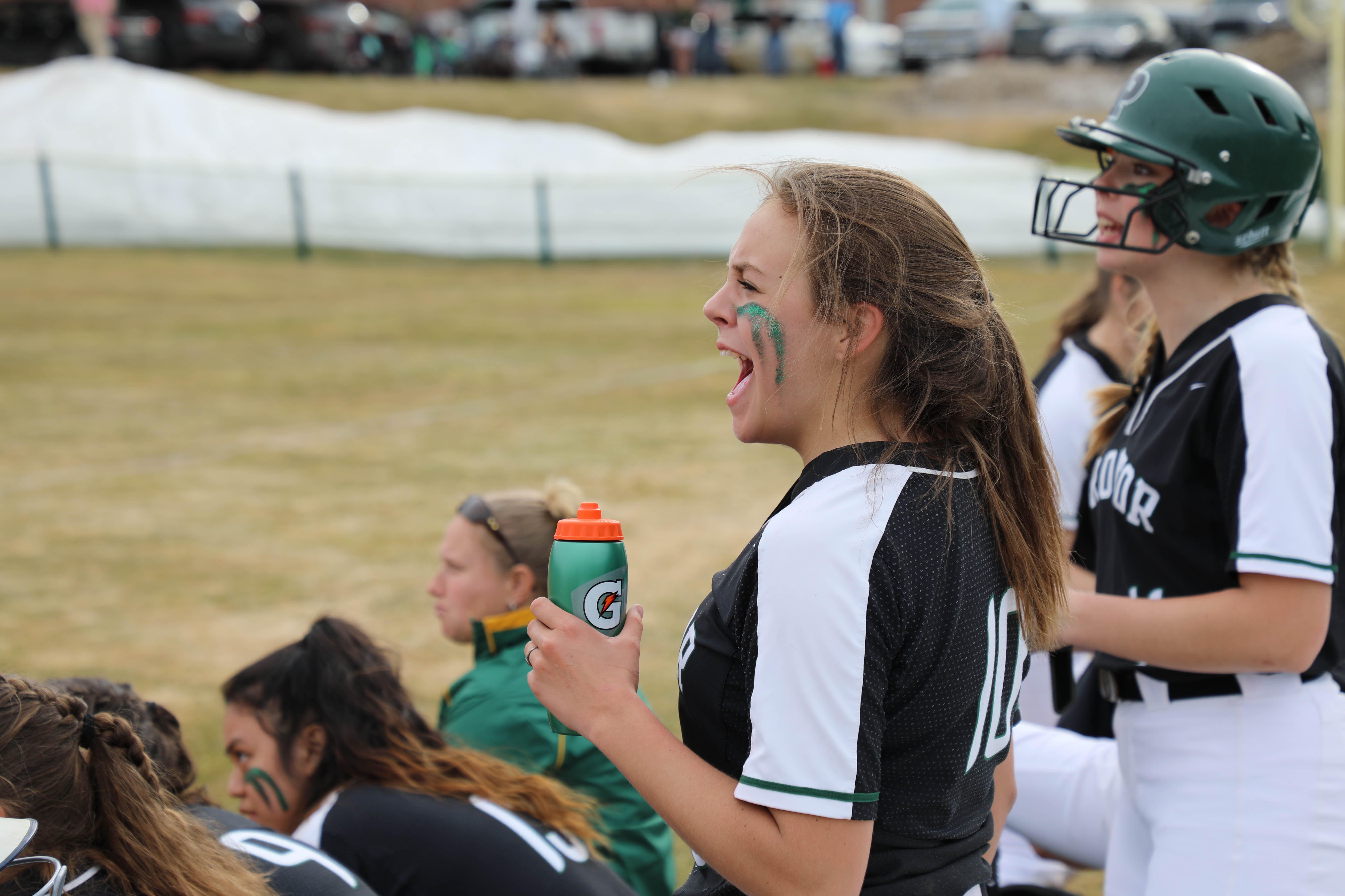 Proctor Athletics: Varsity Softball 2019 Team Spotlight
